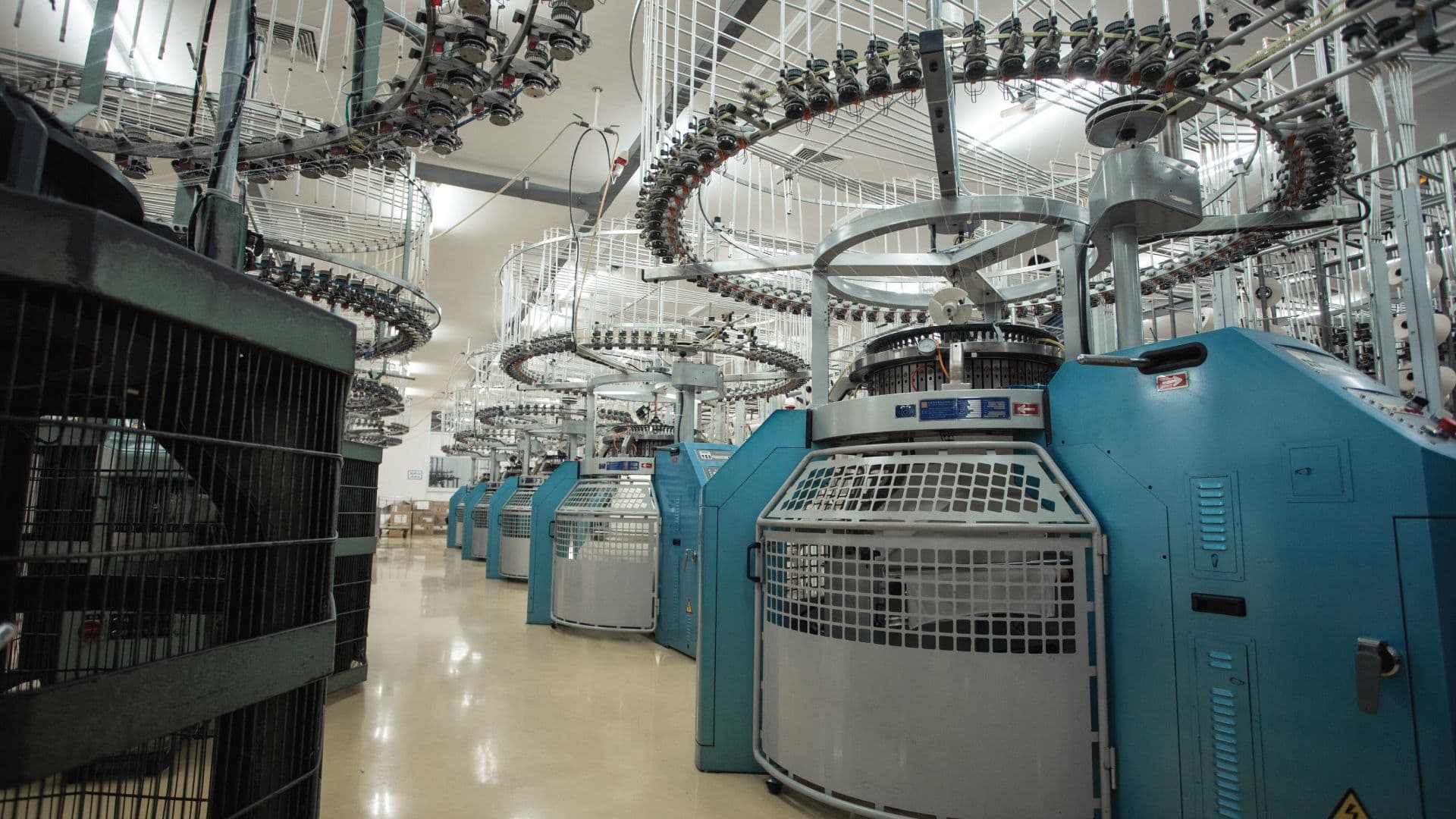 ตำนานห่านคู่ | เรื่องราวและมรดกของเรา